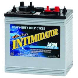 Deka 8AGC2 AGM 6V Deep Cycle Battery | NAZ Solar Electric